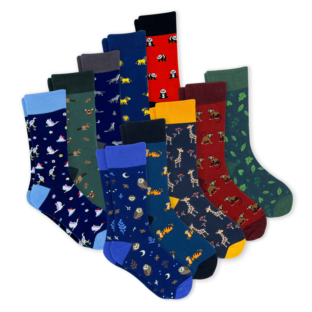 Men's Jungle 10 Pack | Funky Socks – Society Socks